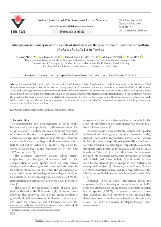 (PDF) Morphometric analysis of the skulls of domestic cattle (Bos taurus L.) and water buffalo ...
