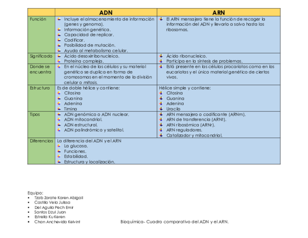 Diferencias Entre Adn Y Arn Cuadro Comparativo Notas De Biologa