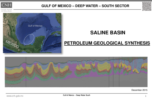 (PDF) SALINE BASIN PETROLEUM GEOLOGICAL SYNTHESIS GULF OF MEXICO -DEEP ...