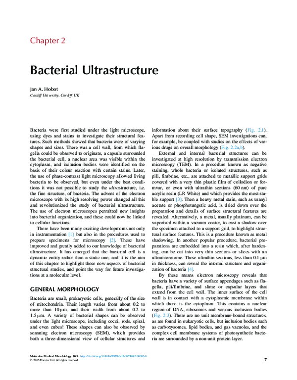 (PDF) Bacterial Ultrastructure