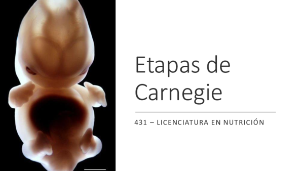 (PPT) Etapas de Carnegie