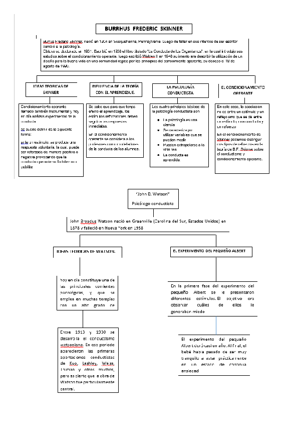 mapa conceptual de Skinner