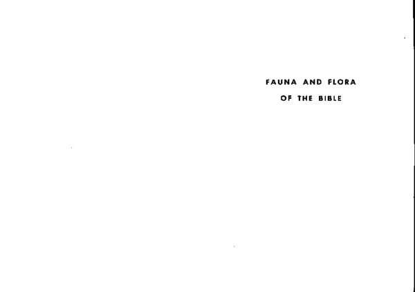 1111 meaning bible verse