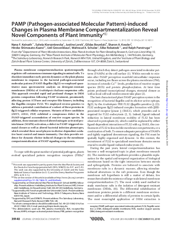 (PDF) PAMP (Pathogen-associated Molecular Pattern)-induced Changes in ...