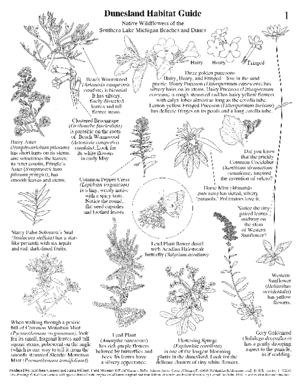 (PDF) Dunesland Habitat Guide - plant communities of the Southern Lake ...