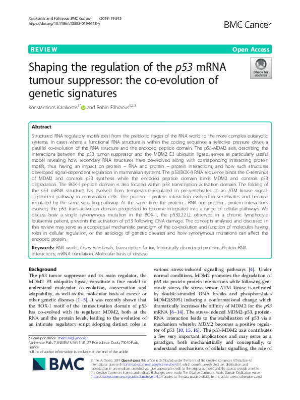 (PDF) Shaping the regulation of the p53 mRNA tumour suppressor: the co ...