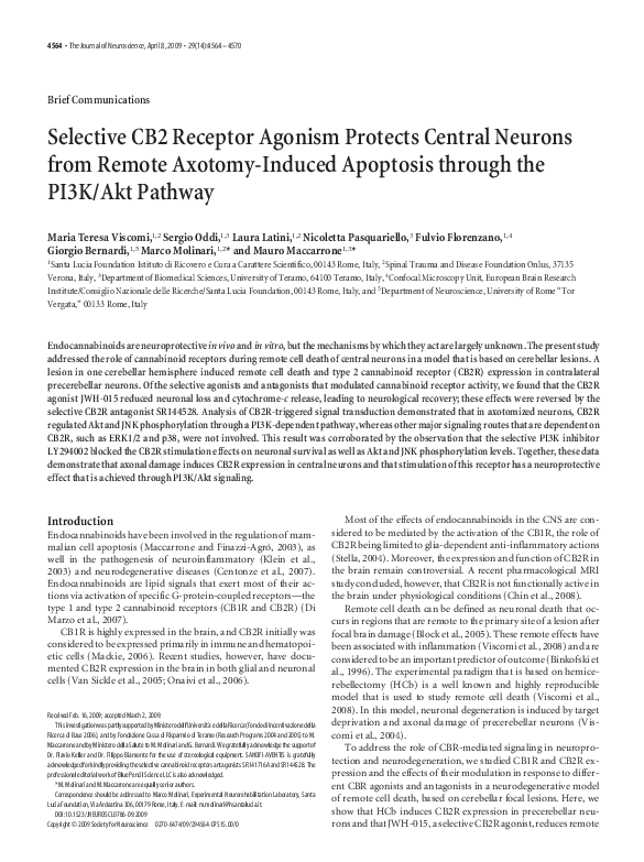 (PDF) Selective CB2 Receptor Agonism Protects Central Neurons from ...