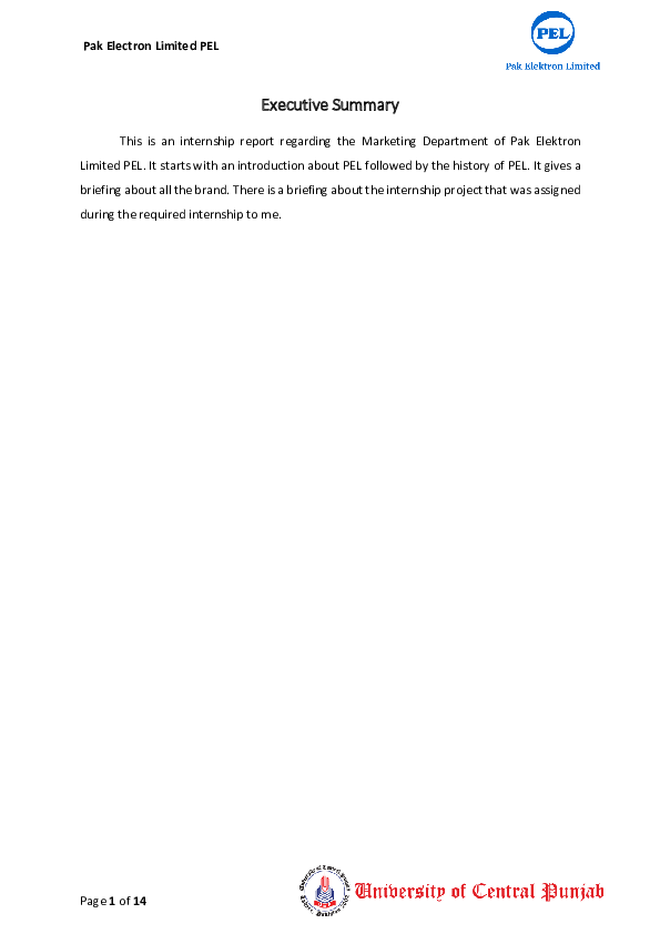 (DOC) PEL internship Report