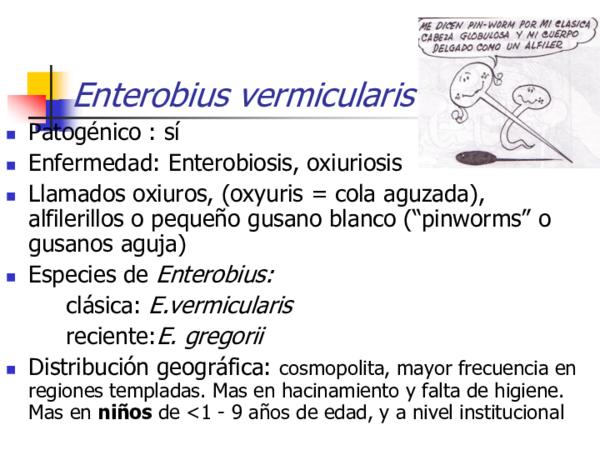 (PDF) Enterobius vermicularis