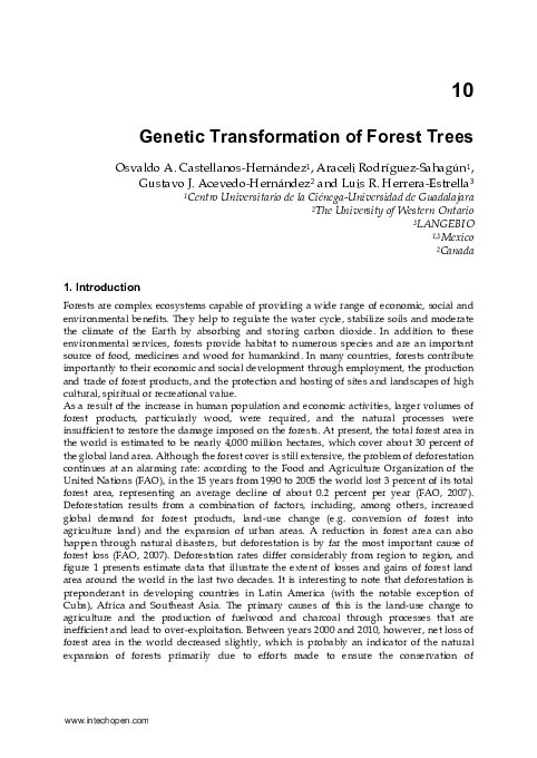 (PDF) Genetic Transformation of Forest Trees