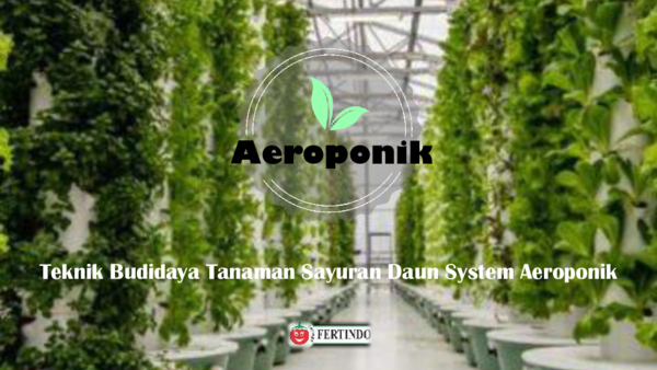 (PDF) Teknik Budidaya Tanaman Sayuran Daun System Aeroponik Aeroponik