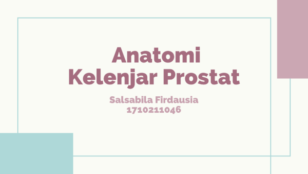 (PPT) Anatomi Kelenjar PROSTAT