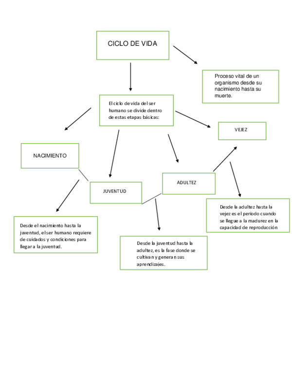 (DOC) Ciclo de vida