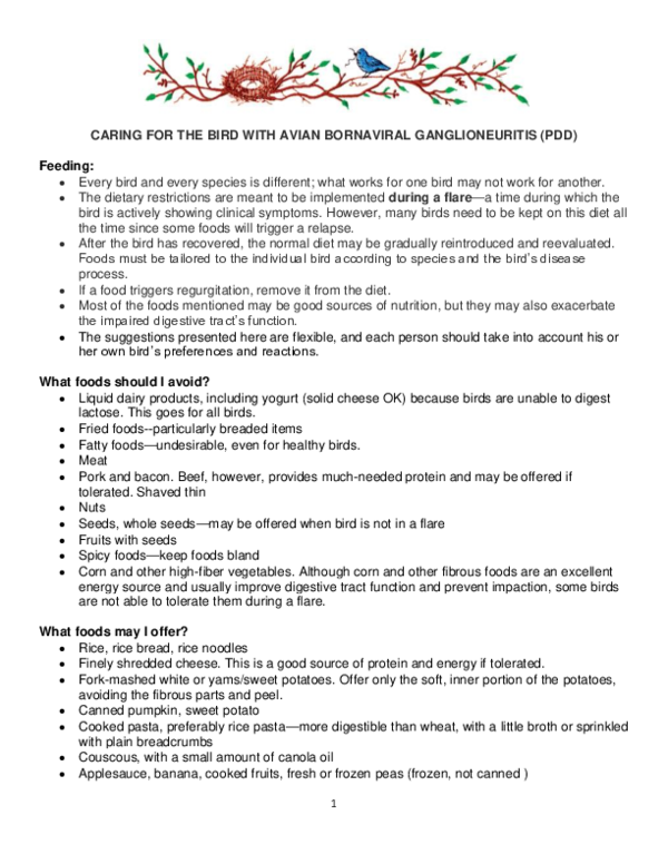 (PDF) CARING FOR THE BIRD WITH AVIAN BORNAVIRAL GANGLIONEURITIS (PDD