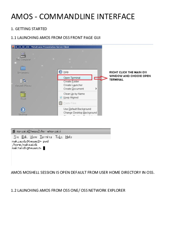 (PDF) AMOS -COMMANDLINE INTERFACE 1. GETTING STARTED 1.1 LAUNCHING AMOS ...