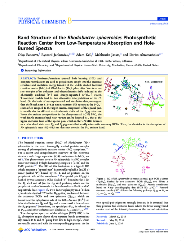 (PDF) Band Structure of the Rhodobacter sphaeroides Photosynthetic ...