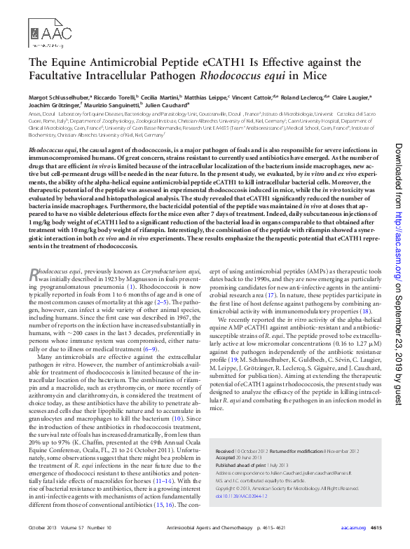 (PDF) The Equine Antimicrobial Peptide eCATH1 Is Effective against the ...