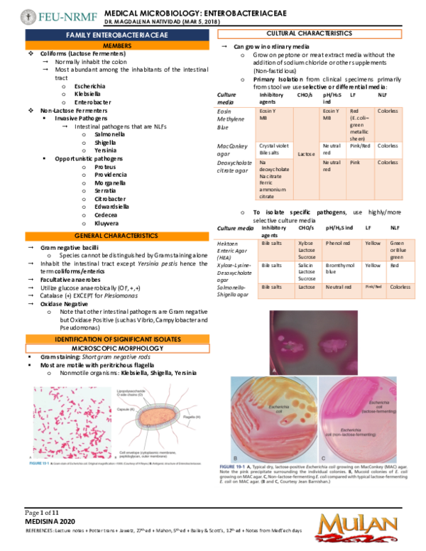 (PDF) [Microbio] Enterobacteriaceae-Dr. Natividad (Mulan)