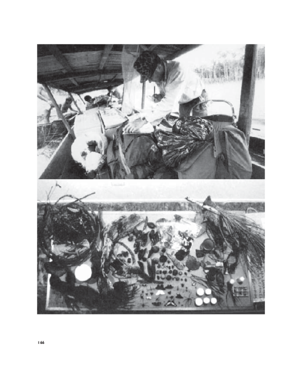 (PDF) Kwon miwon um lugar apos o outro