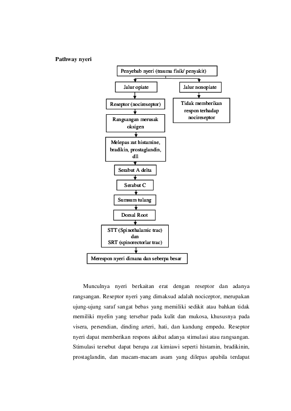 (DOC) Pathway nyeri