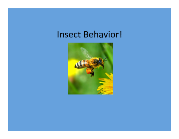 (PDF) Insect behavior | Xuan Hoa Vu - Academia.edu