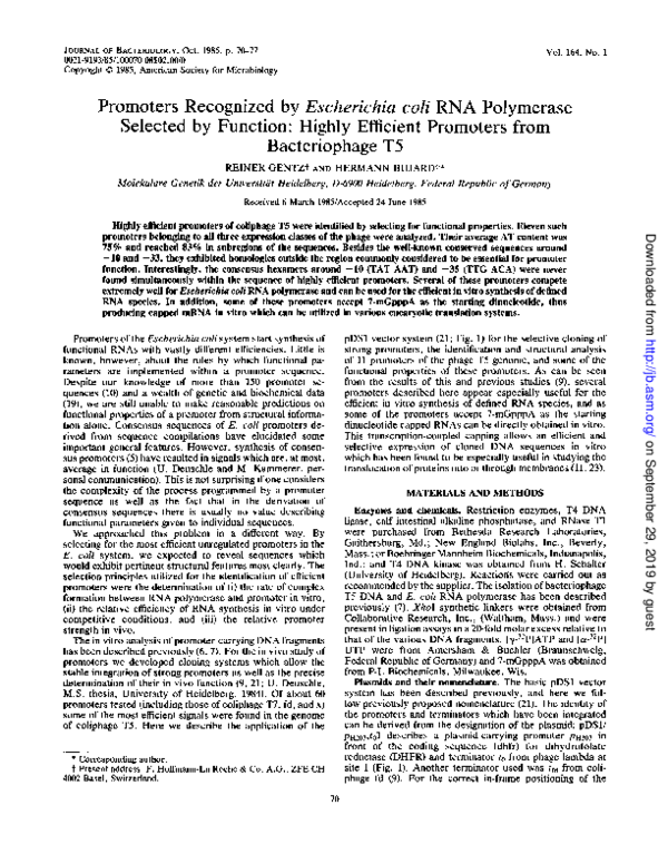 (PDF) Promoters Recognized by Escherichia coli RNA Polymerase Selected ...