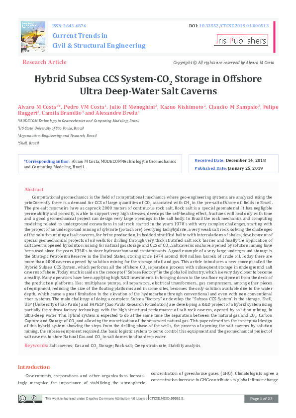 (PDF) Hybrid Subsea CCS System-CO2 Storage in Offshore Ultra Deep-Water ...