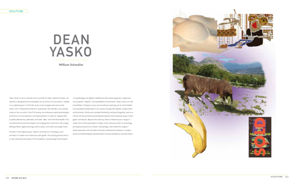 (PDF) Dean Yasko | William Schwaller - Academia.edu