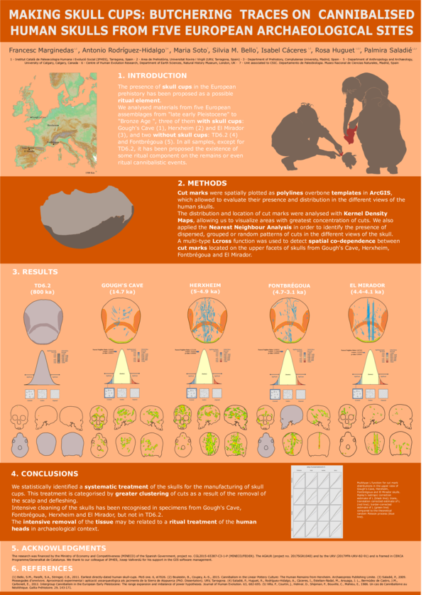 (PDF) MAKING SKULL CUPS: BUTCHERING TRACES ON CANNIBALISED HUMAN SKULLS ...