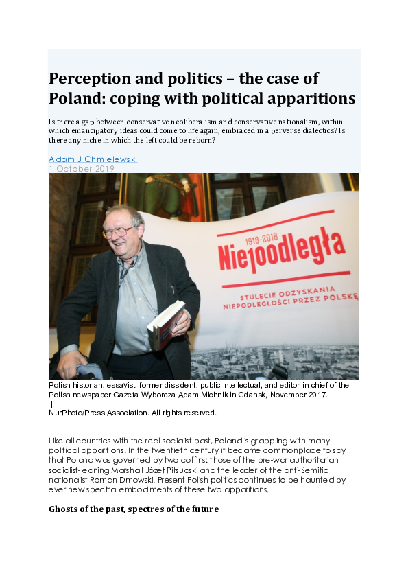 (PDF) Perception and politics: coping with political apparitions