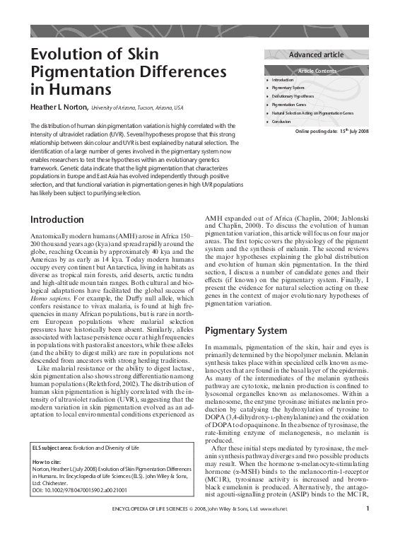 (PDF) Evolution of Skin Pigmentation Differences in Humans