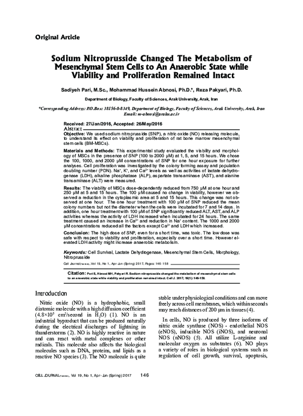 (PDF) Sodium Nitroprusside Changed The Metabolism of Mesenchymal Stem ...