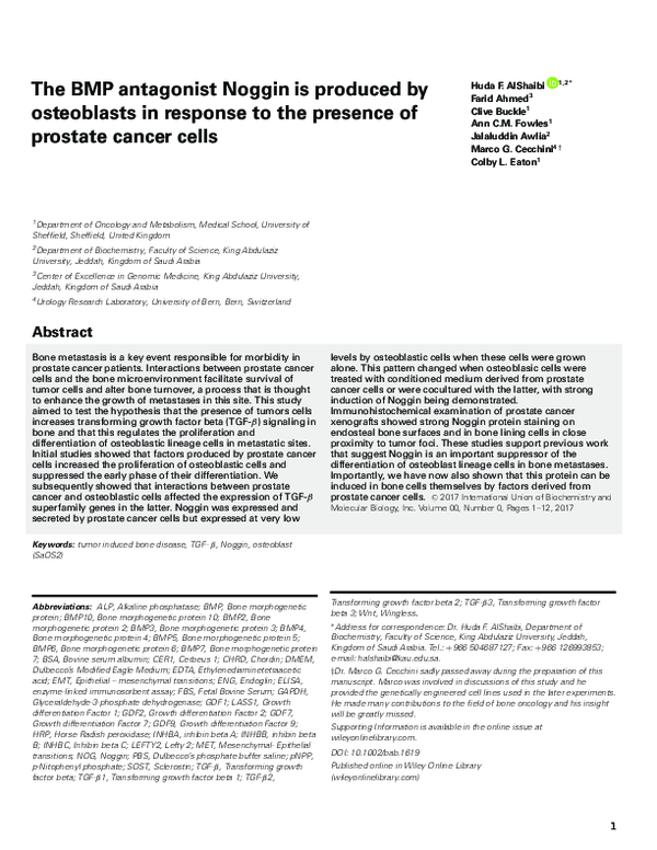 (PDF) The BMP antagonist Noggin is produced by osteoblasts in response ...