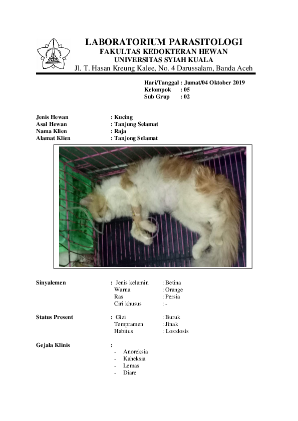 (DOC) Ambulator Kucing