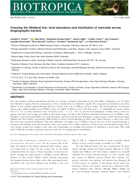(PDF) Crossing the (Wallace) line: local abundance and distribution of ...