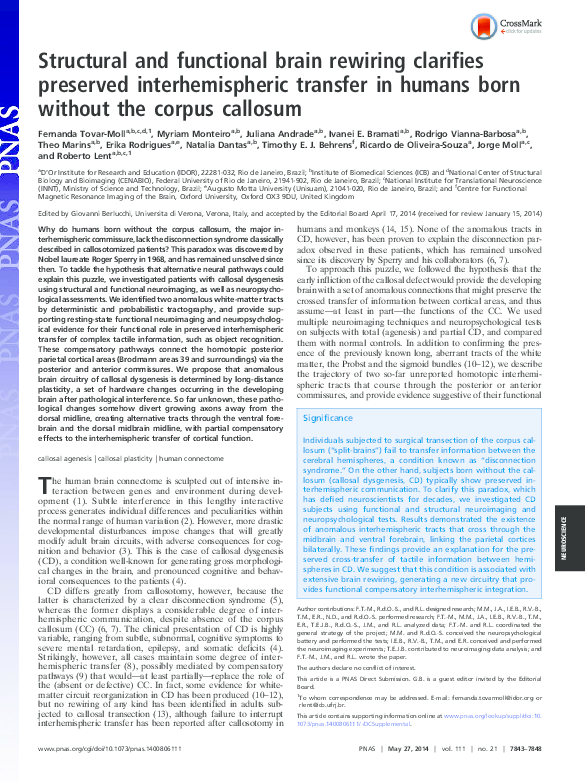 (PDF) Structural and functional brain rewiring clarifies preserved ...