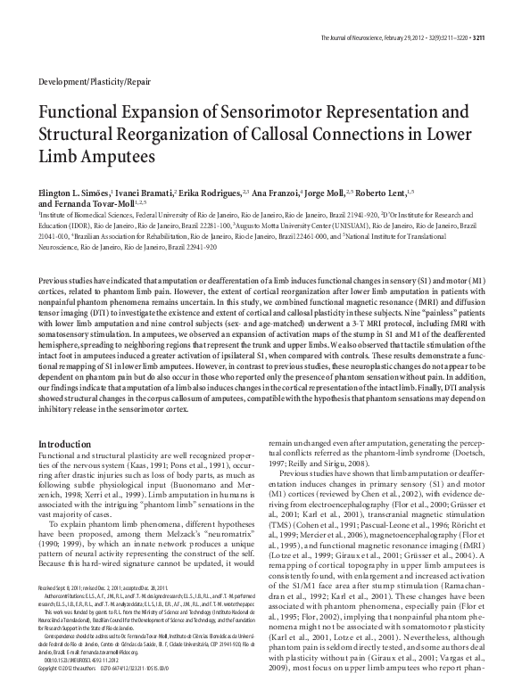(PDF) Functional Expansion of Sensorimotor Representation and Structural Reorganization of ...