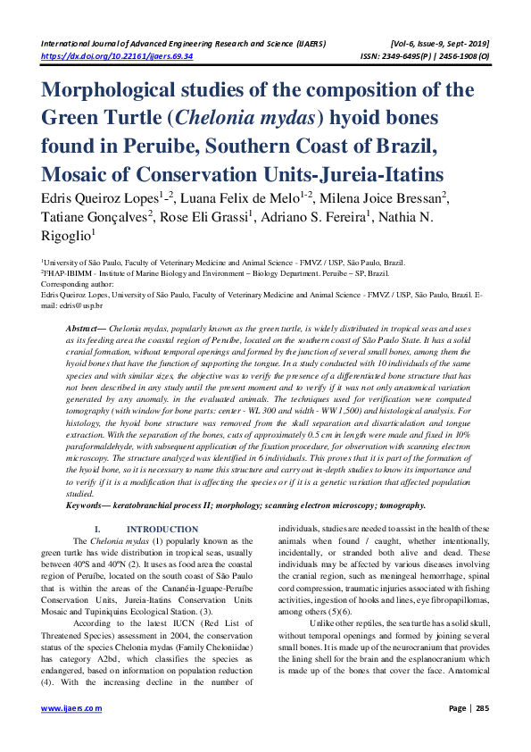 (PDF) Morphological studies of the composition of the Green Turtle ...