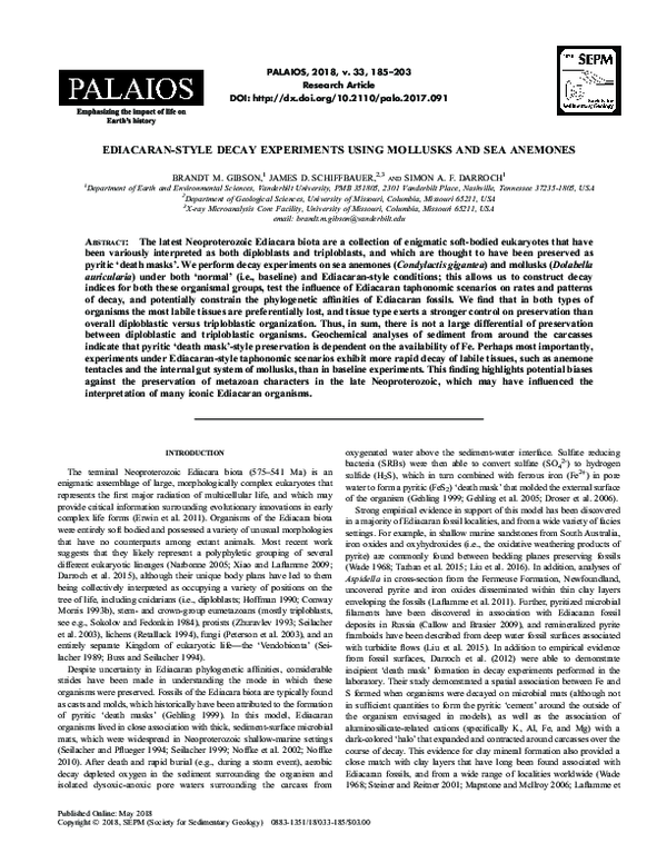 (PDF) EDIACARAN-STYLE DECAY EXPERIMENTS USING MOLLUSKS AND SEA ANEMONES ...