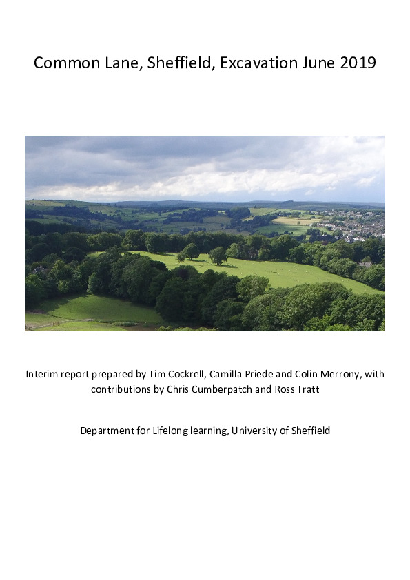 (PDF) Common Lane Sheffield June