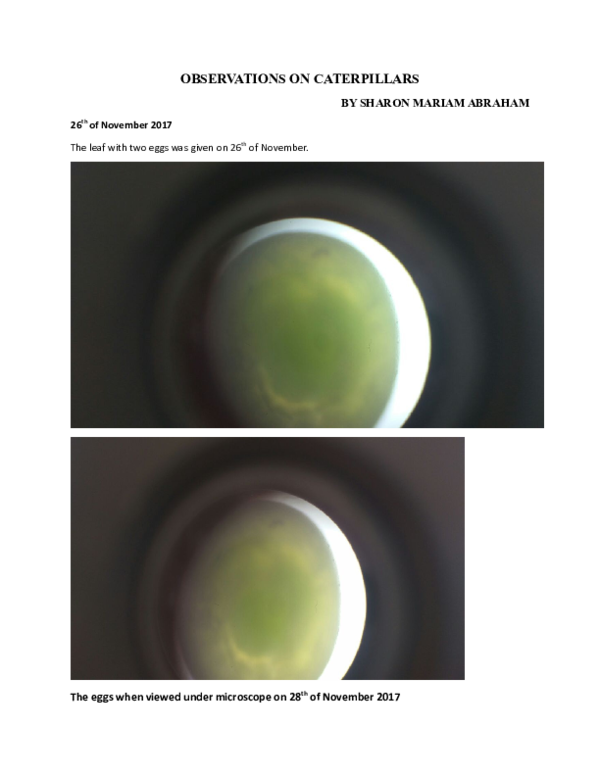 (DOC) Caterpillar Growth Stages