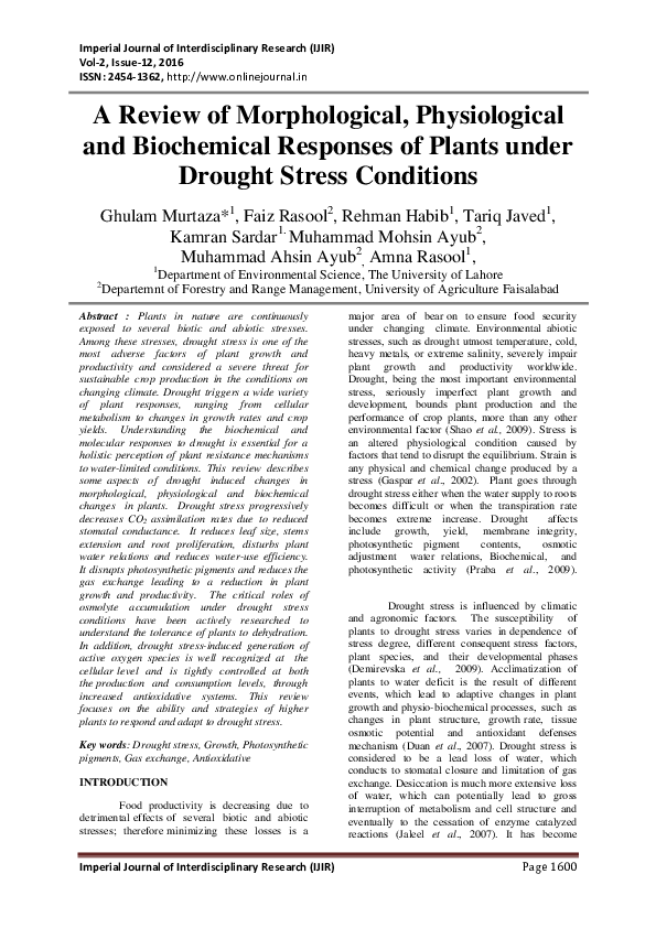 (PDF) A Review of Morphological, Physiological and Biochemical Responses of Plants under Drought ...