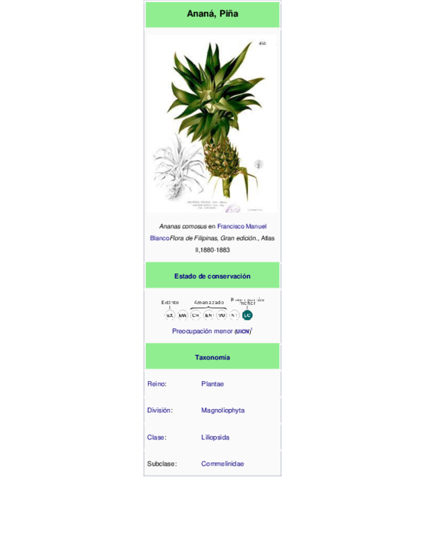 (DOC) PIÑA WORD