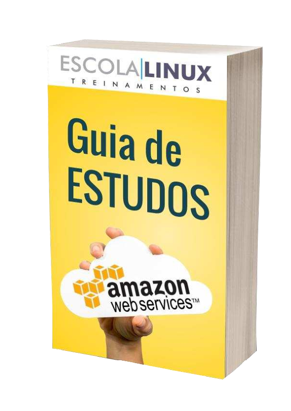 (PDF) Guia AWS-
