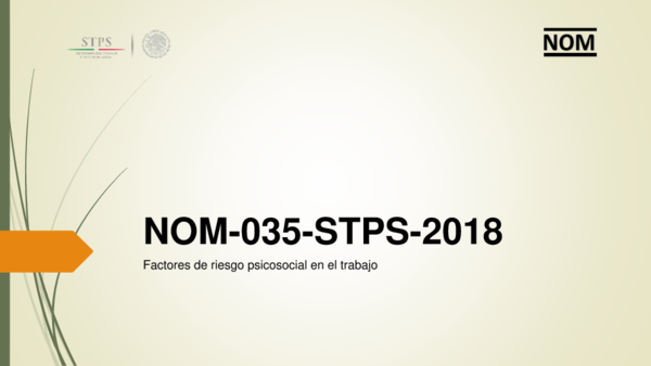 (PDF) NOM 035 STPS 2018 simple