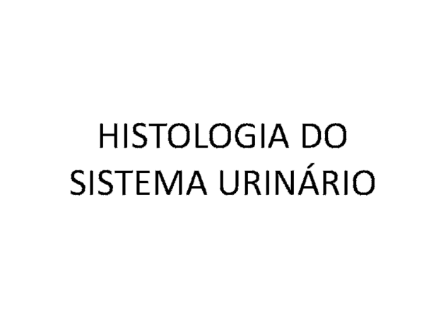 (PDF) HISTOLOGIA DO SISTEMA URINÁRIO