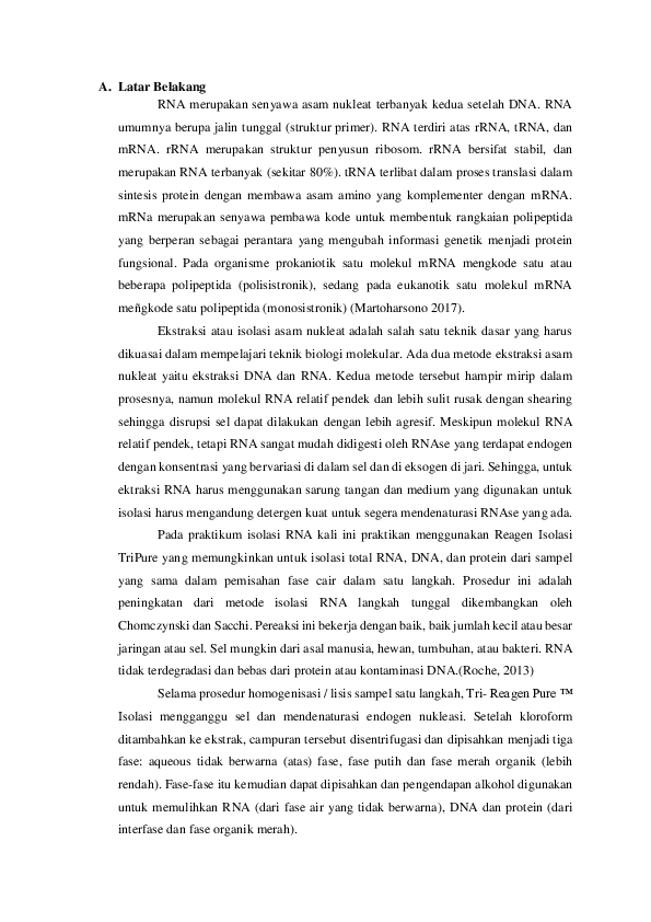 (DOC) Laporan Isolasi RNA dengan Tripure Reagent Kit