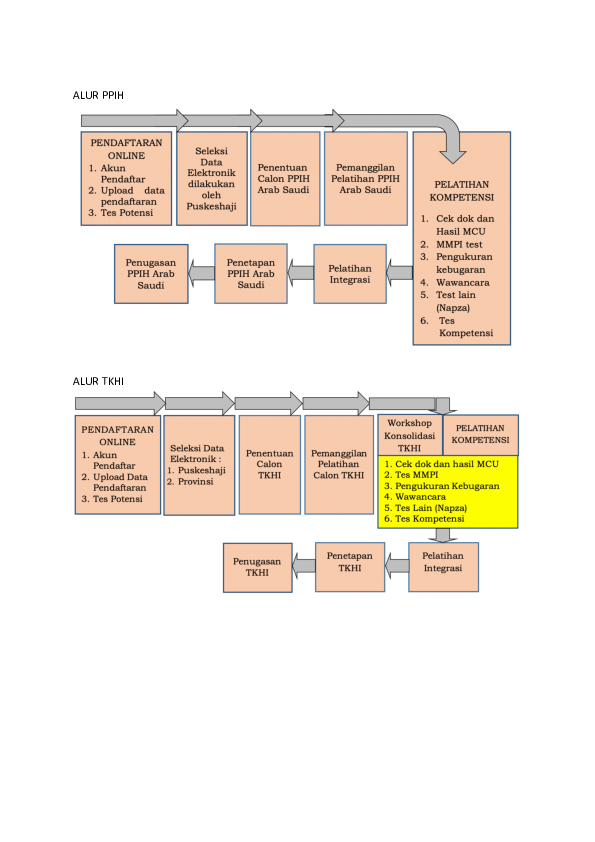 (PDF) ALUR PPIH ALUR TKHI