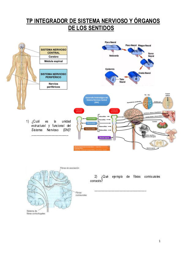 (DOC) TP Integrador 2do parcial