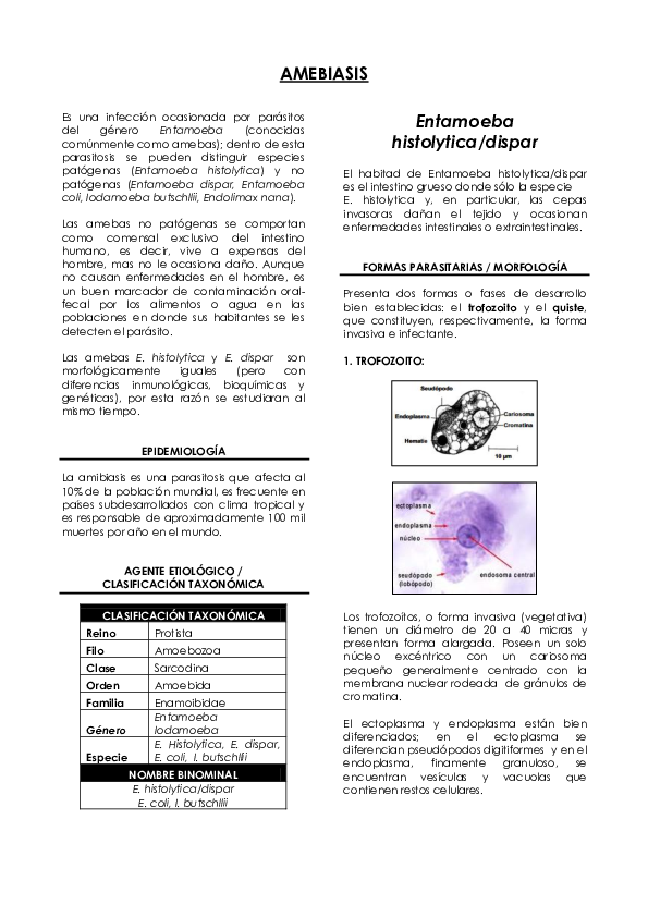 (PDF) Amebas